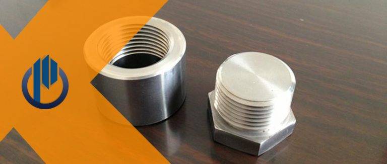 SS 316 / 316L / 316H / 316TI Plug / Bushing Manufacturer in Mumbai, India